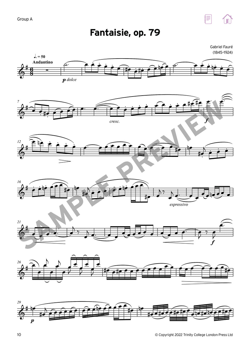 Flute Exam Pieces from 2023: Grade 8 - ebook – Trinity College London ...